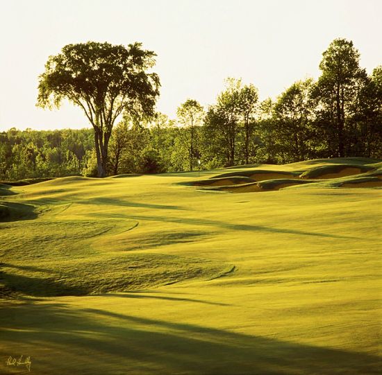 Course Information - The Bog
